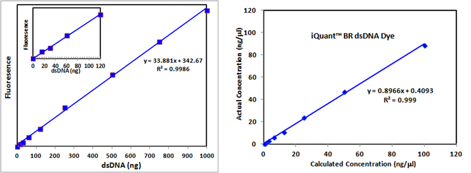 Broad-Range-dsDNA | ABP Biosciences